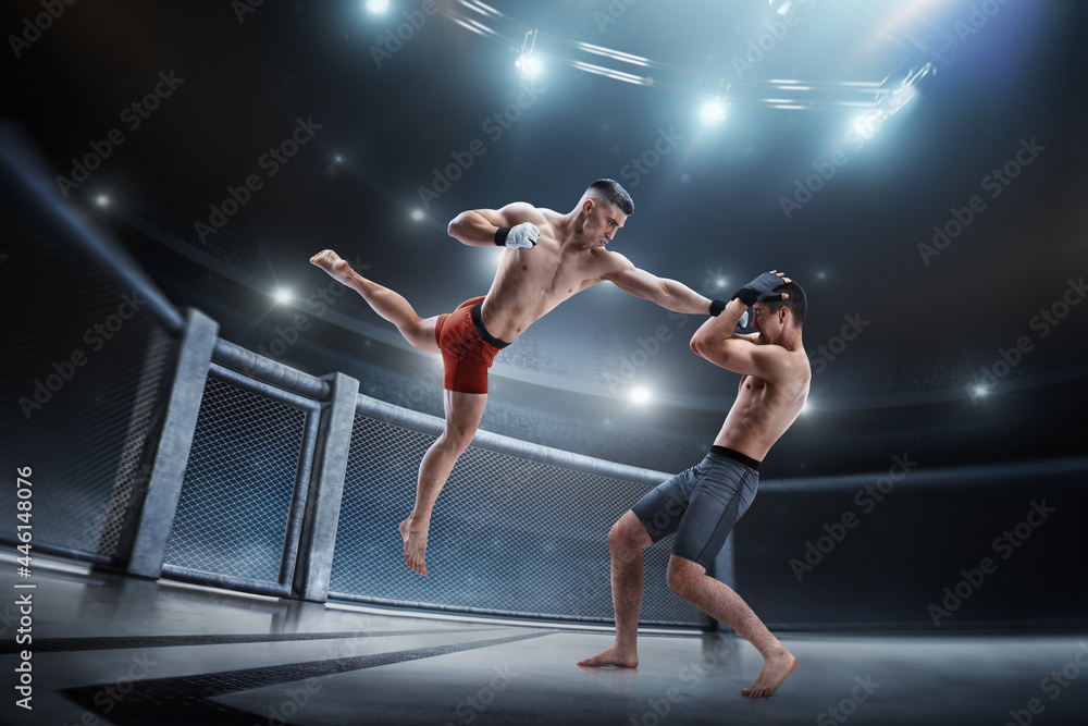 Punch in MMA. Two MMA fighters in the octagon. Hand kick. Sport action ...