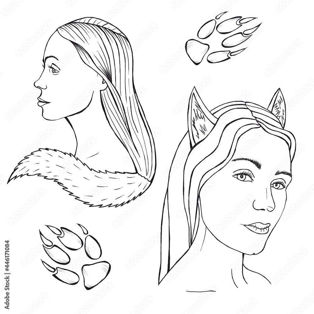 Wolf girl sketch, woman with tail and wolf ears, wolverine illustration ...