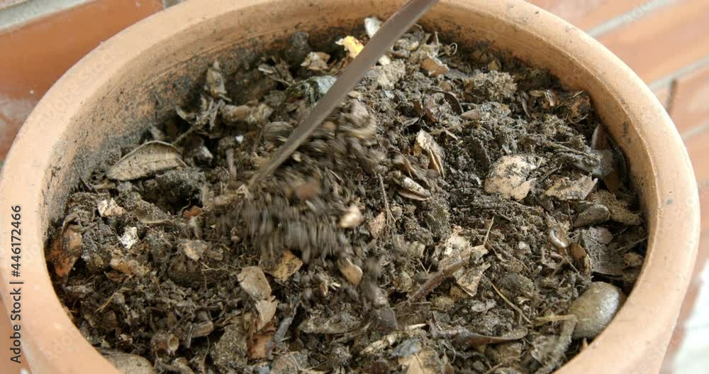 Human hand turning home compost to prepare organic fertilizer for ...