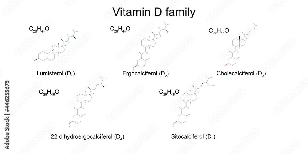 Chemical formulas and structural formulas of the vitamin D family ...
