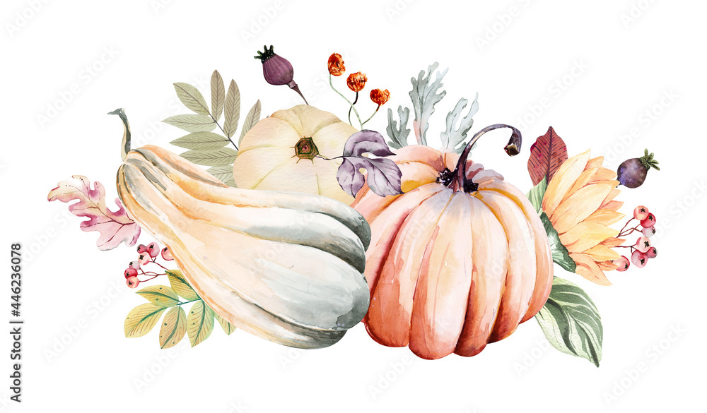 Watercolor fall pumpkin harvest clipart. Thanksgiving pumpkin ...