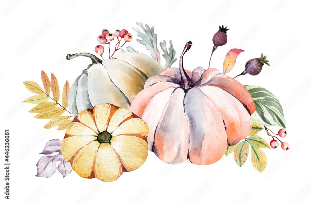 Watercolor fall pumpkin harvest clipart. Thanksgiving pumpkin ...