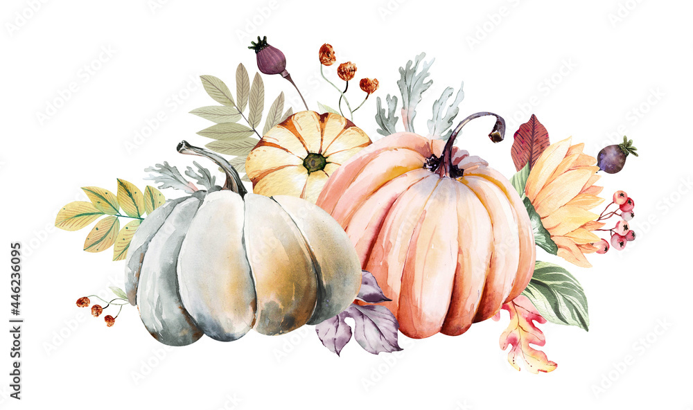 Watercolor fall pumpkin harvest clipart. Thanksgiving pumpkin ...