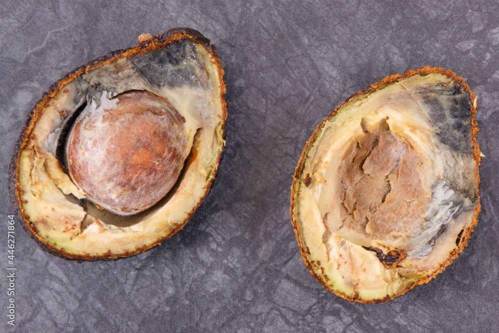 Old moldy avocado on dark board. Unhealthy and disgusting fruit Stock ...