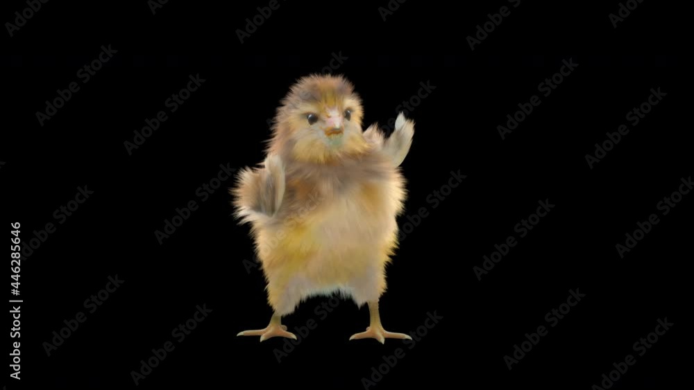 Chick Dancing CG fur. 3d rendering, animal realistic CGI VFX, Animation ...