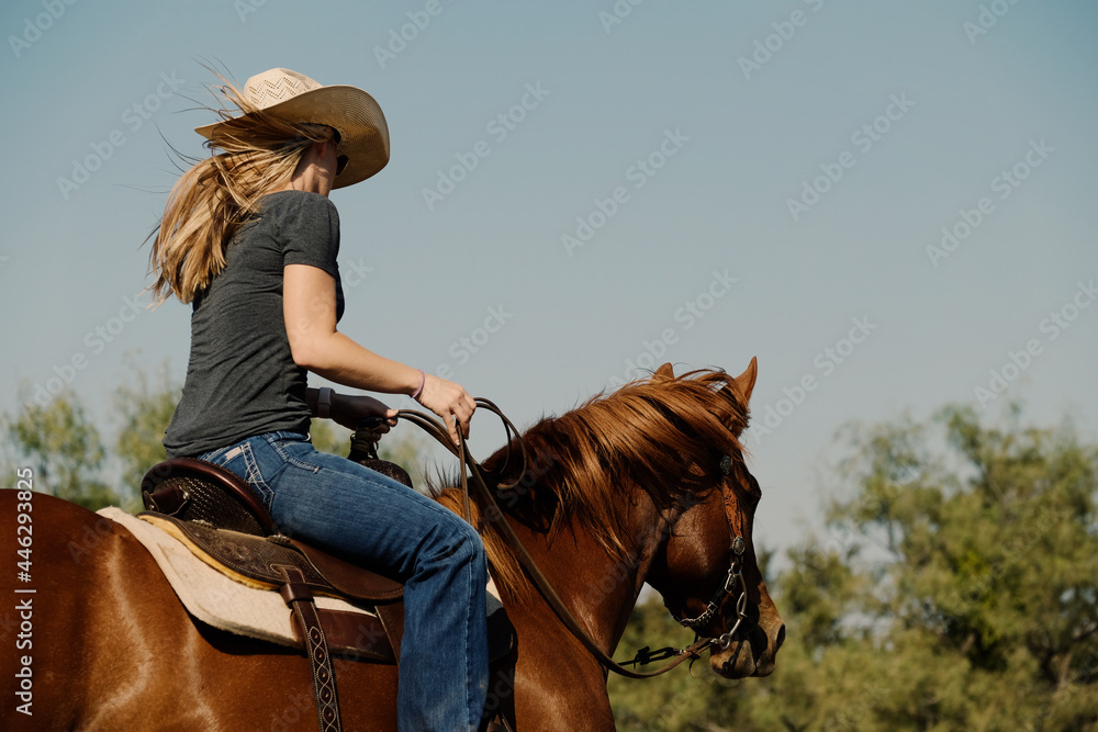 Western lifestyle portrait of woman cowgirl riding horse during summer ...