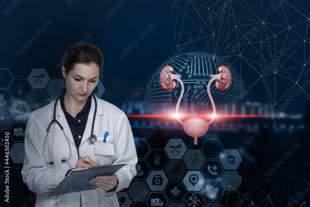 Concept of computer scan examination of the urinary system of the ...