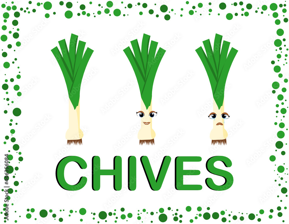 Attractive vegetable of vector card of chives emoji set. This chives ...
