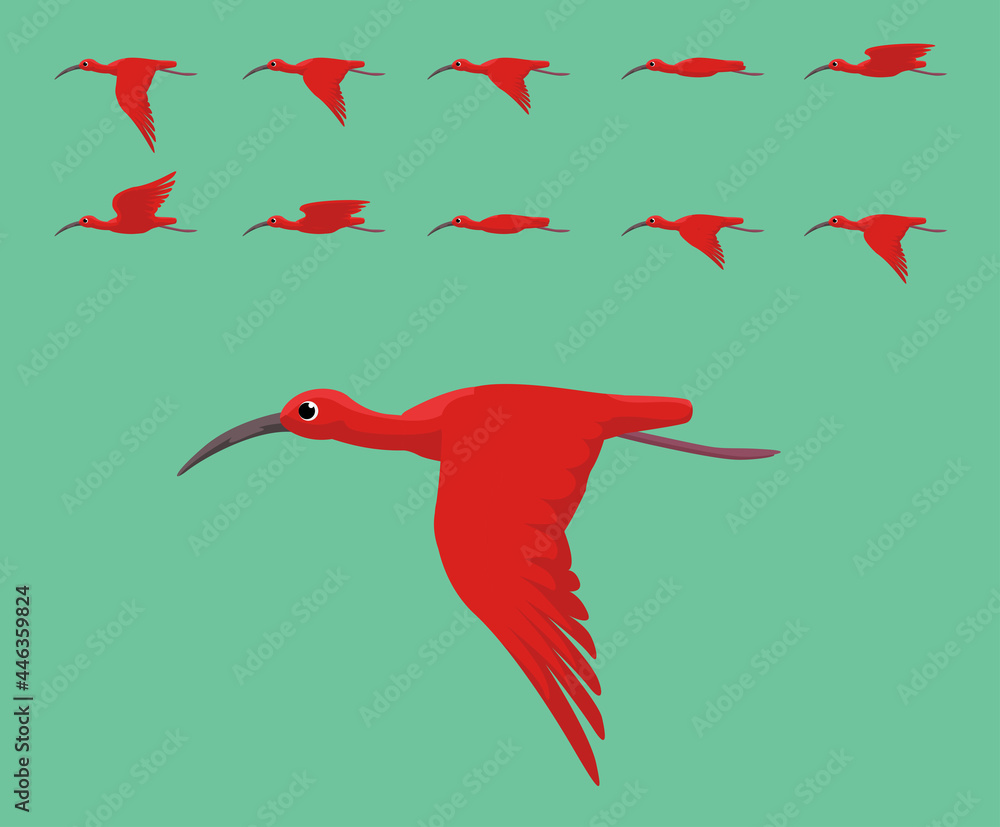 Animation Bird Scarlet Ibis Flying Cute Cartoon Vector Illustration ...