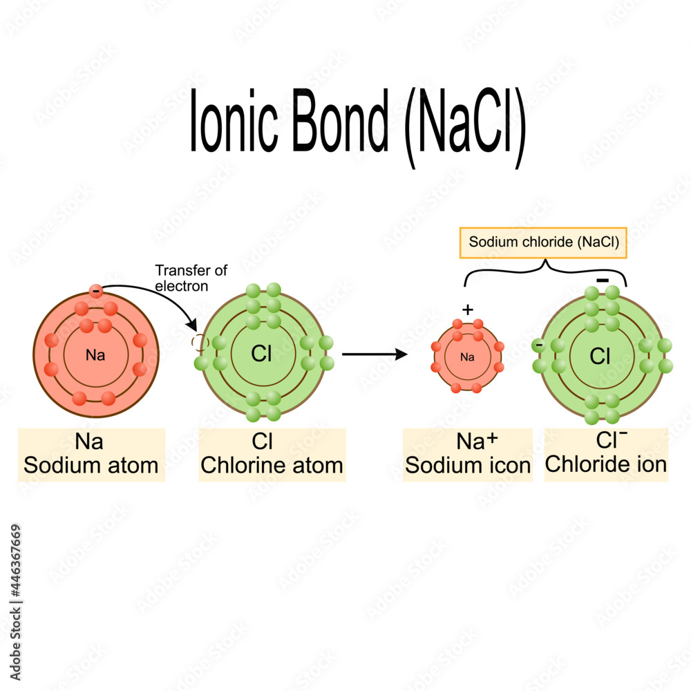 Structure of ionic bond on white background.isolated vector ...