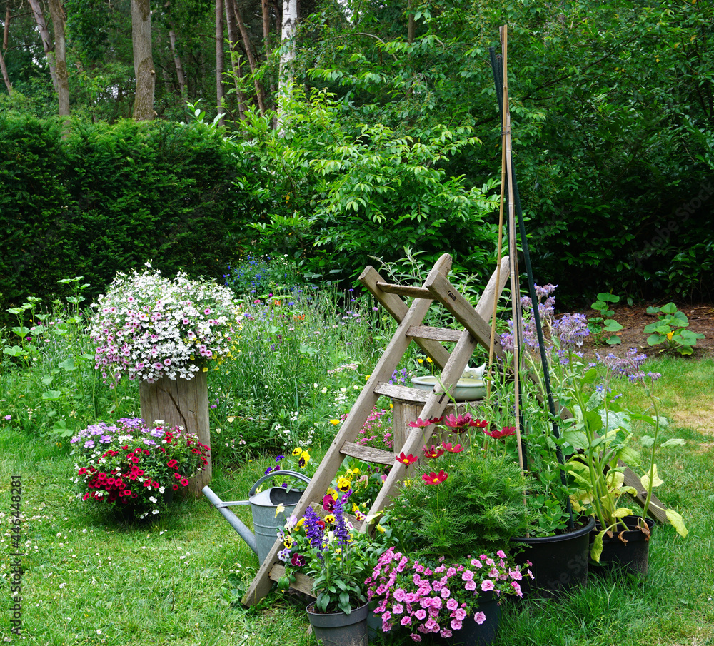 Beautiful garden. Wild herb and field flowers. English cottage style ...
