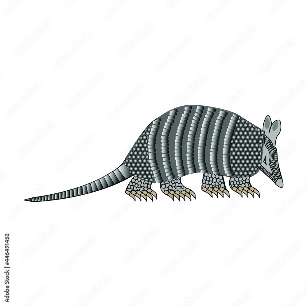 Animal mamífero cachicamo scientific name dasypus or priodontes ...