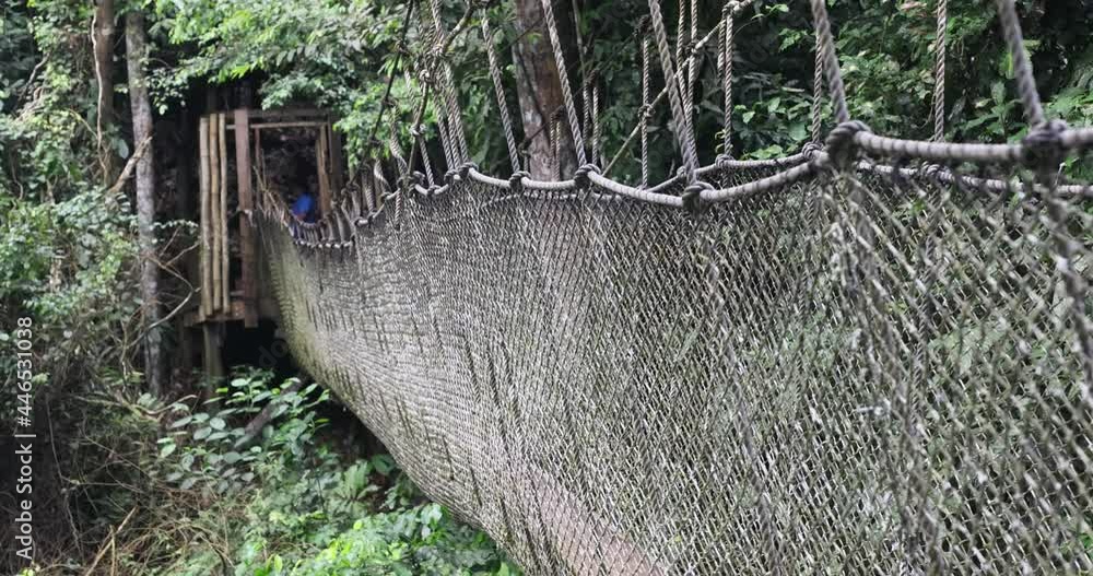 Suspension Rope bridge tropical rainforest jungle Cape Coast Ghana ...