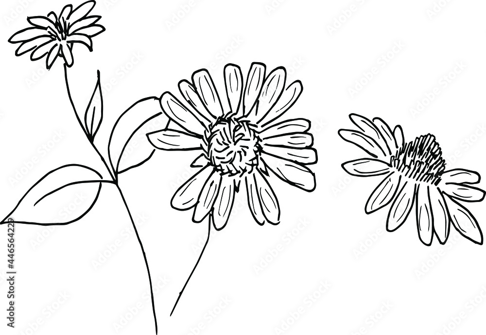 set of simple summer flowers drawings. abstract flower illustration ...