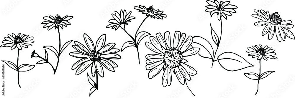 set of simple summer flowers drawings. abstract flower illustration ...