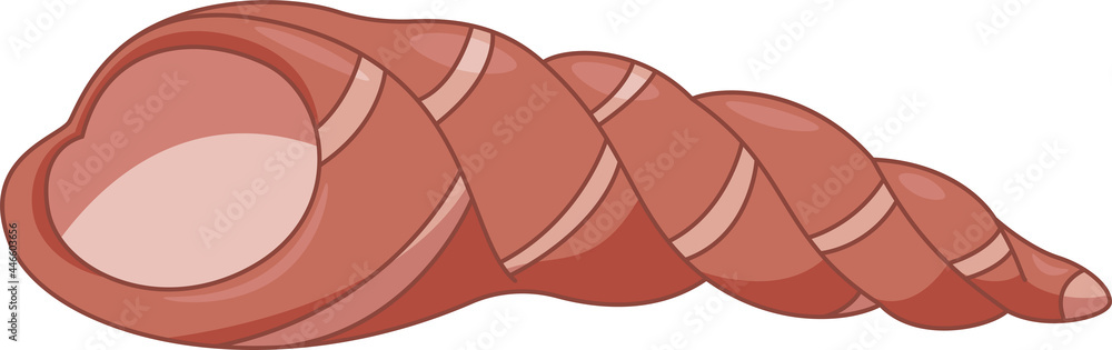 long spiral cartoon curled shell with stripes Stock Vector | Adobe Stock