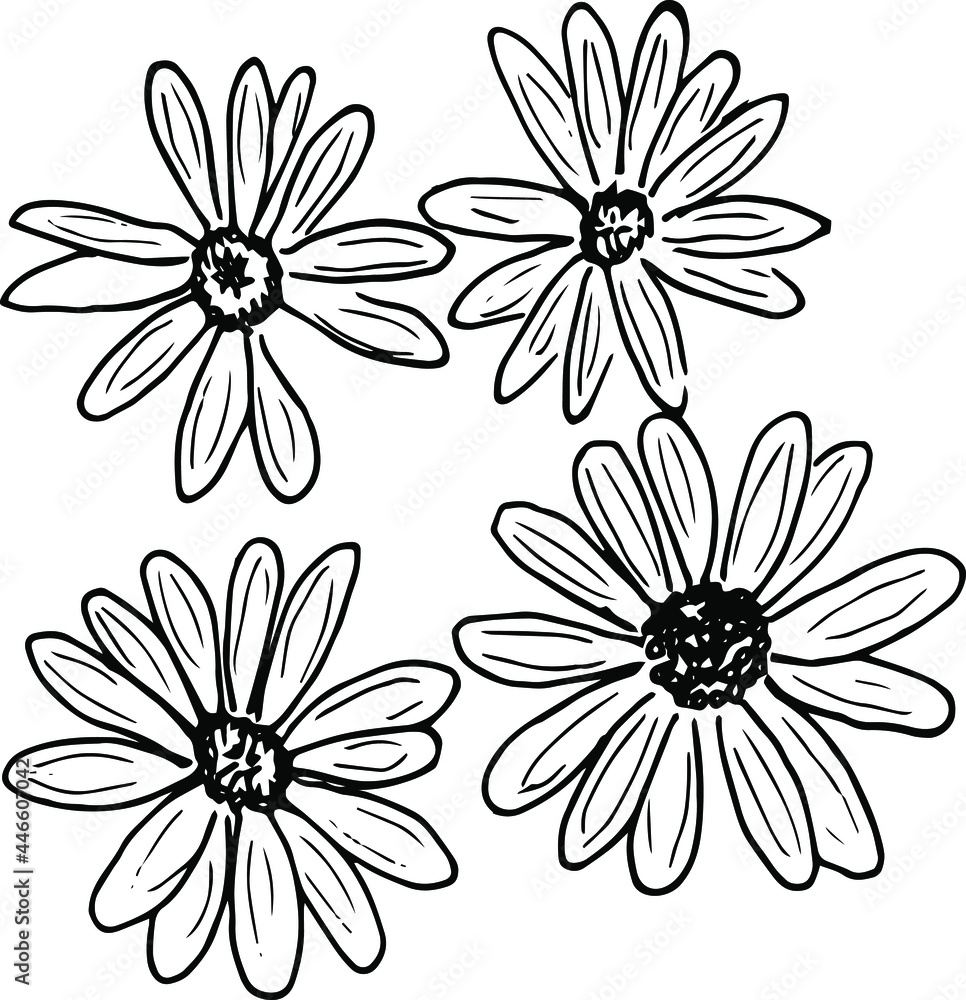 Easy Flower Patterns To Trace | Best Flower Site