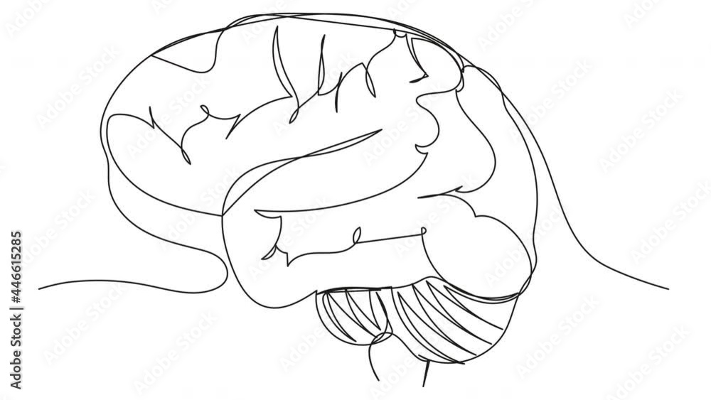 Line animation of the brain on a white background with an alpha channel ...