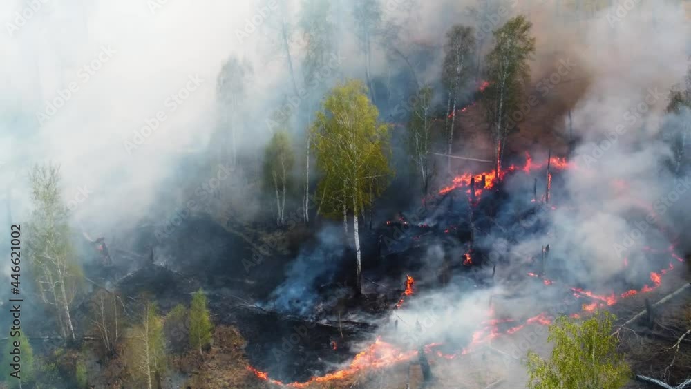 Air pollution caused by forest fire. Clouds of smoke above aerial ...