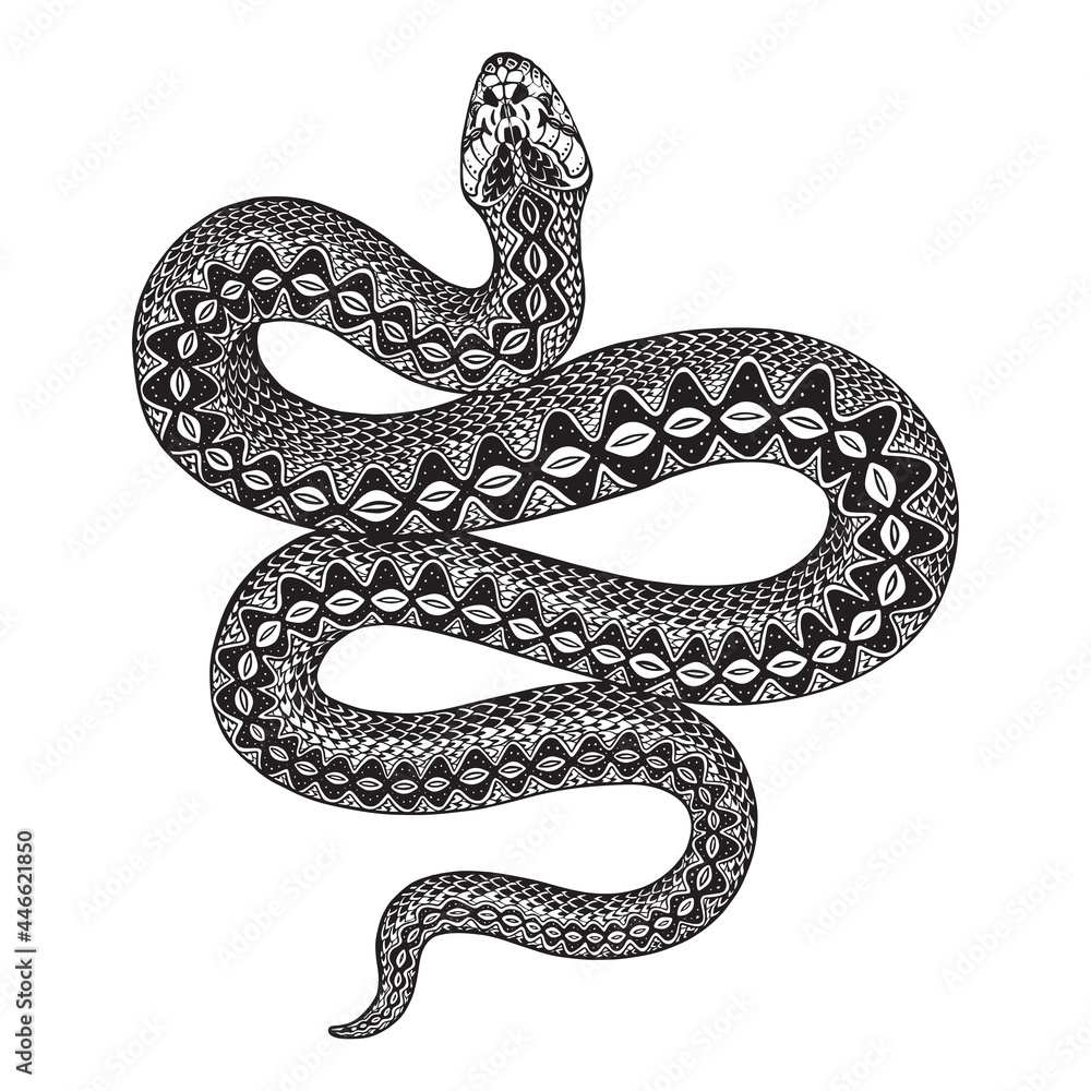 Vector illustration of black and white snake isolated on white ...
