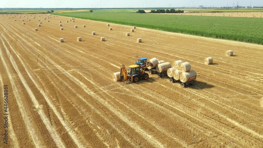 Above view, dolly move, on excavator as loading straw bales on trailer ...
