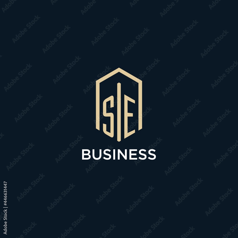 SE initial monogram logo with hexagonal shape style, real estate logo ...