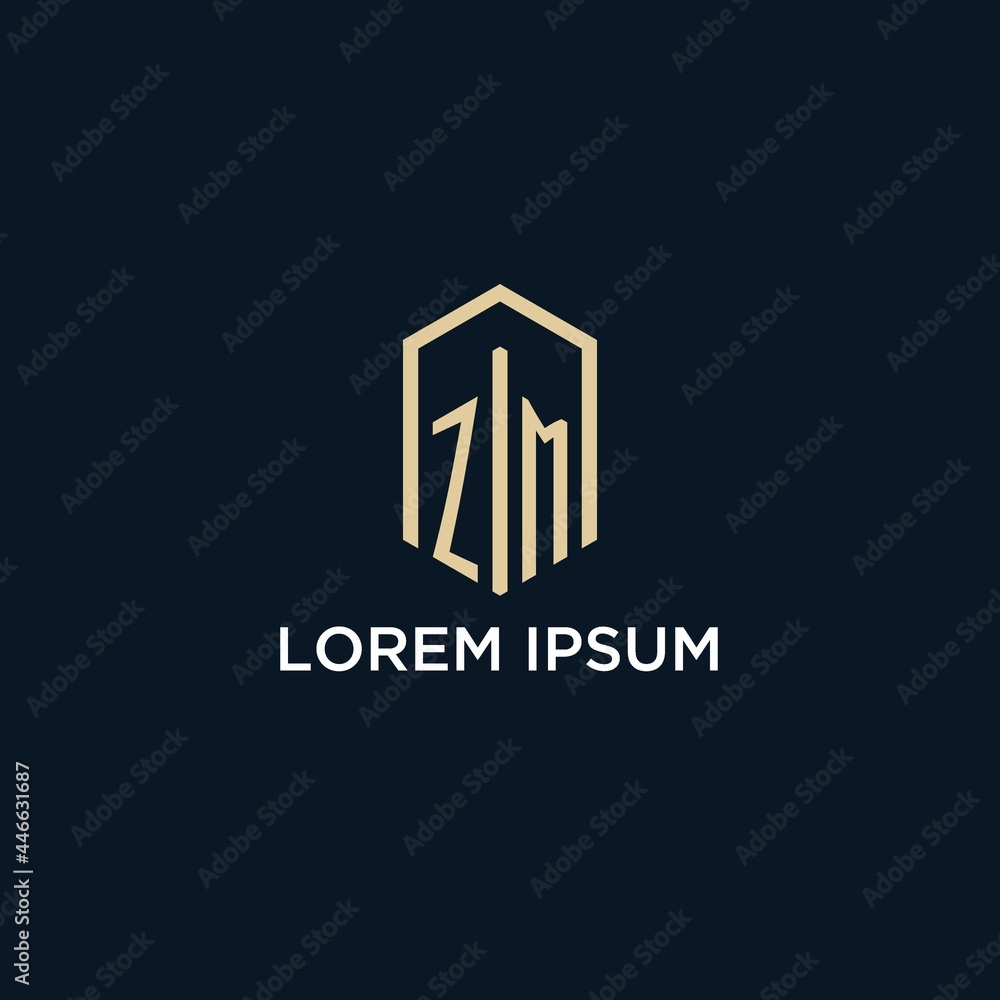 ZM initial monogram logo with hexagonal shape style, real estate logo ...