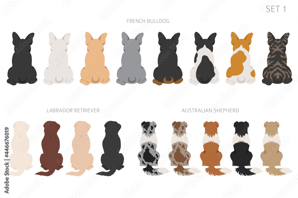 Sitting dogs backside clipart, rear view. Diifferent coat colors ...