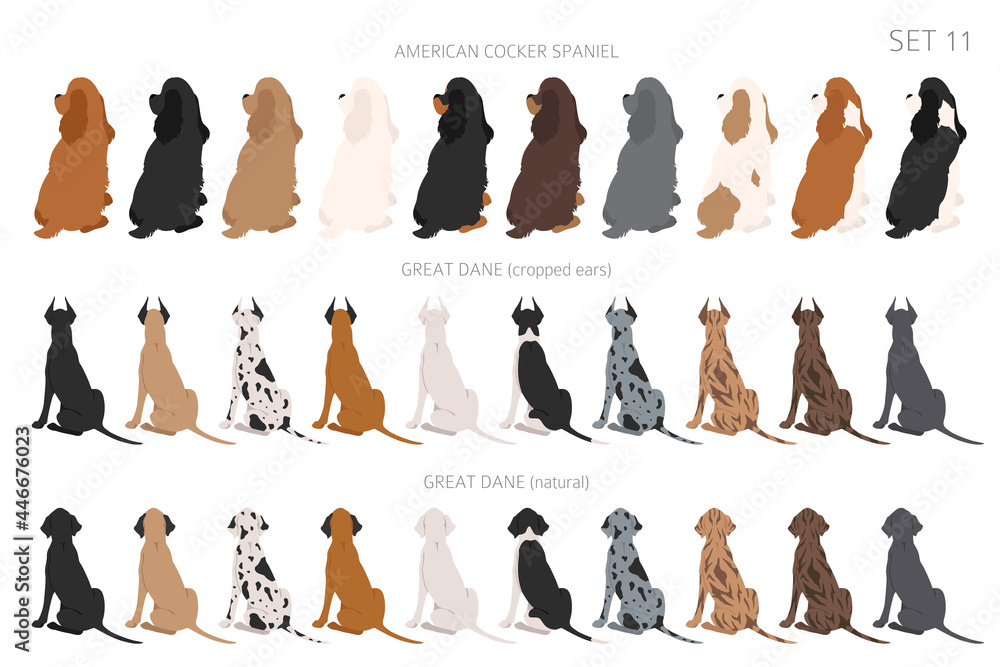 Sitting dogs backside clipart, rear view. Diifferent coat colors ...
