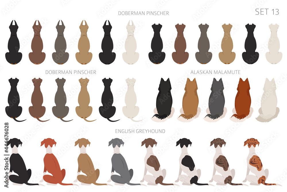 Sitting dogs backside clipart, rear view. Diifferent coat colors ...