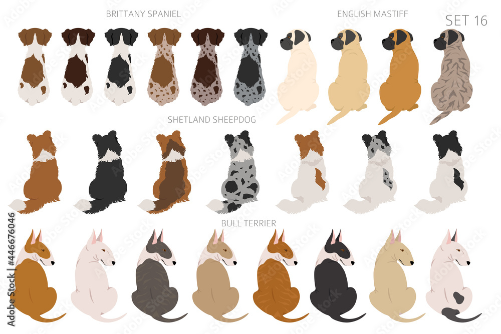 Sitting dogs backside clipart, rear view. Diifferent coat colors ...