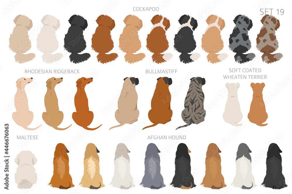Sitting dogs backside clipart, rear view. Diifferent coat colors ...