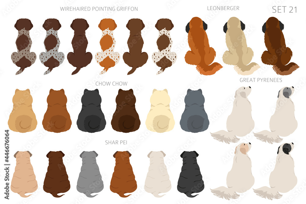 Sitting dogs backside clipart, rear view. Diifferent coat colors ...