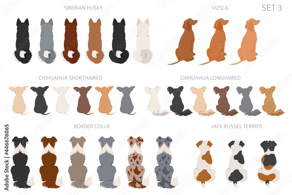 Sitting dogs backside clipart, rear view. Diifferent coat colors ...