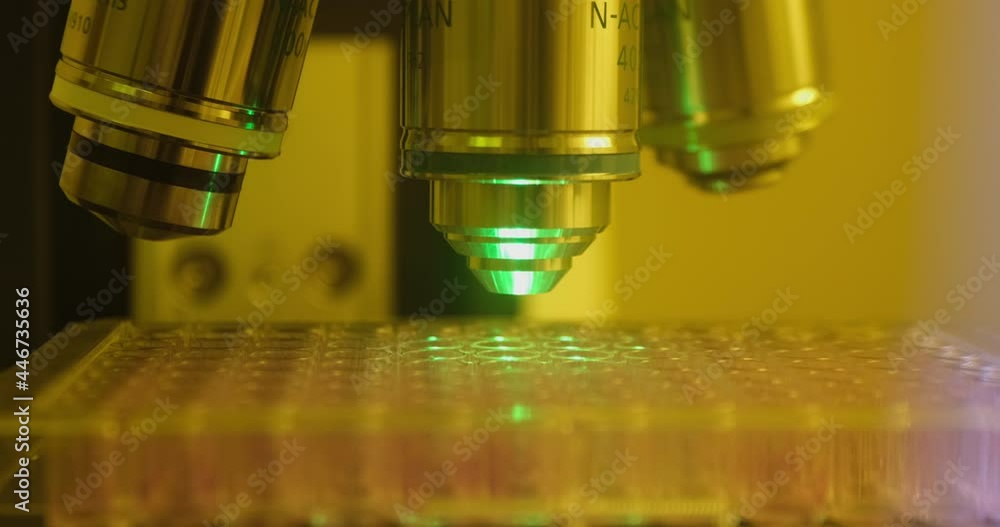 Case with samples under the microscope objective, yellow filter changes ...