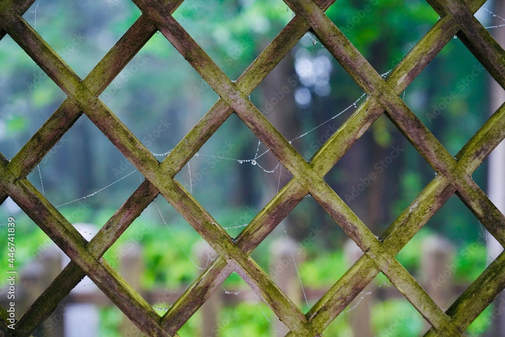 蜘蛛の巣 霧 武蔵御嶽神社 Mist Musashi Mitake Shrine spider wave Stock Photo ...