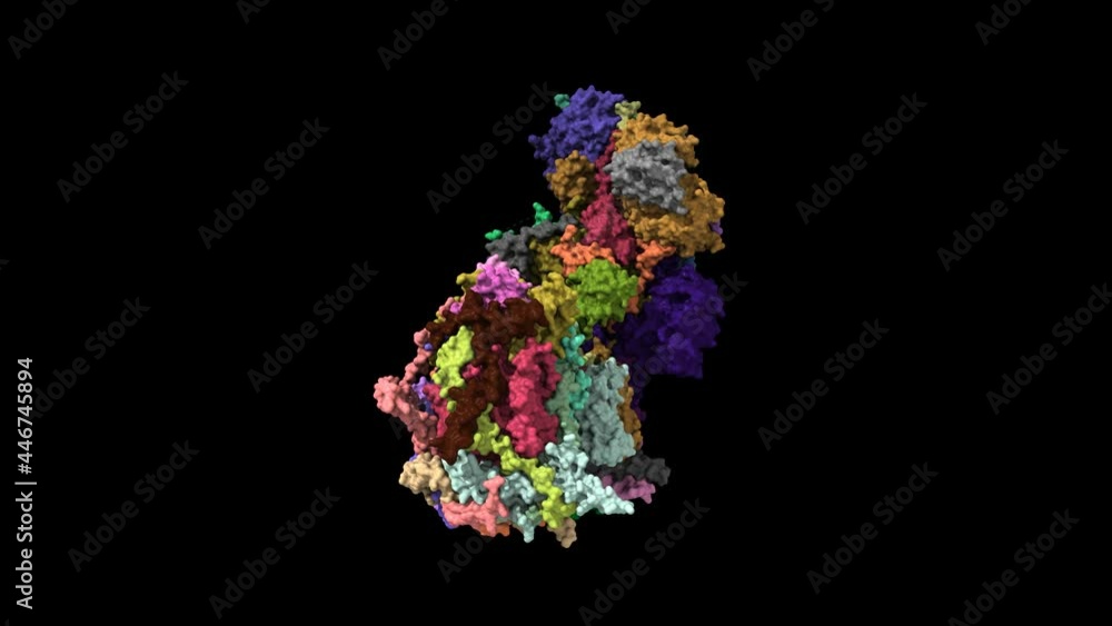 Structure of human respiratory complex I, animated 3D cartoon and ...