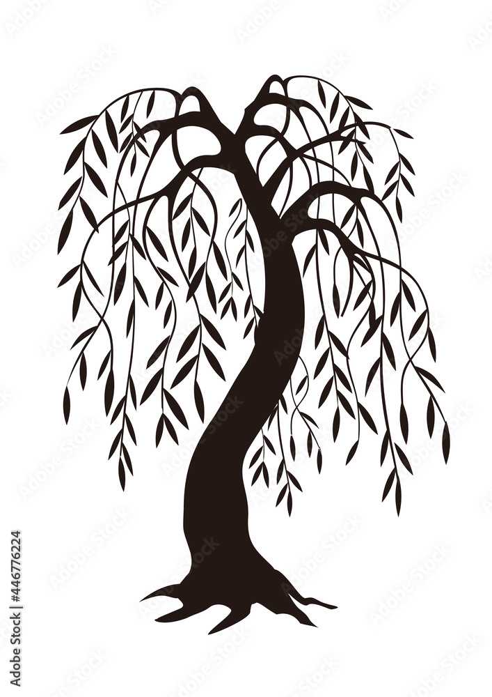 Weeping Willow tree, black silhouette. Illustration of melancholy tree ... Weeping Willow tree, black silhouette. Illustration of melancholy tree ...