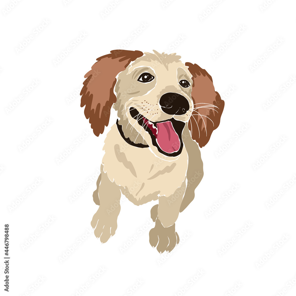 Cute little smiling dog. Puppy face. Labradoodle pet. Set of Abstract ...