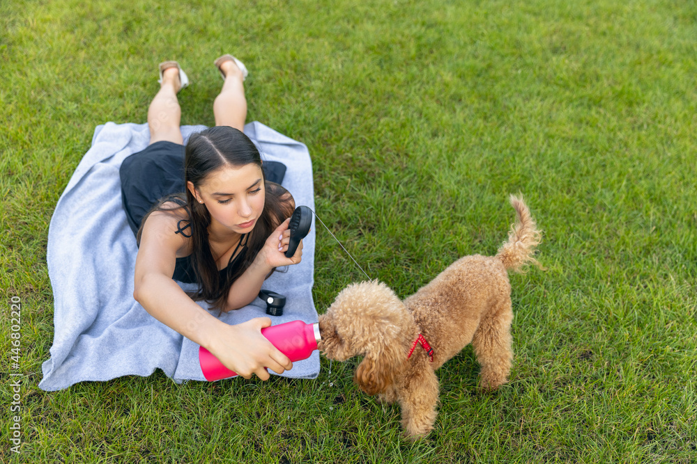 Beautiful girl and her pet, little golden poodle dog strolling in ...