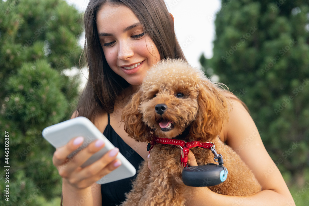 Pretty girl and her pet, little golden poodle dog strolling in public ...