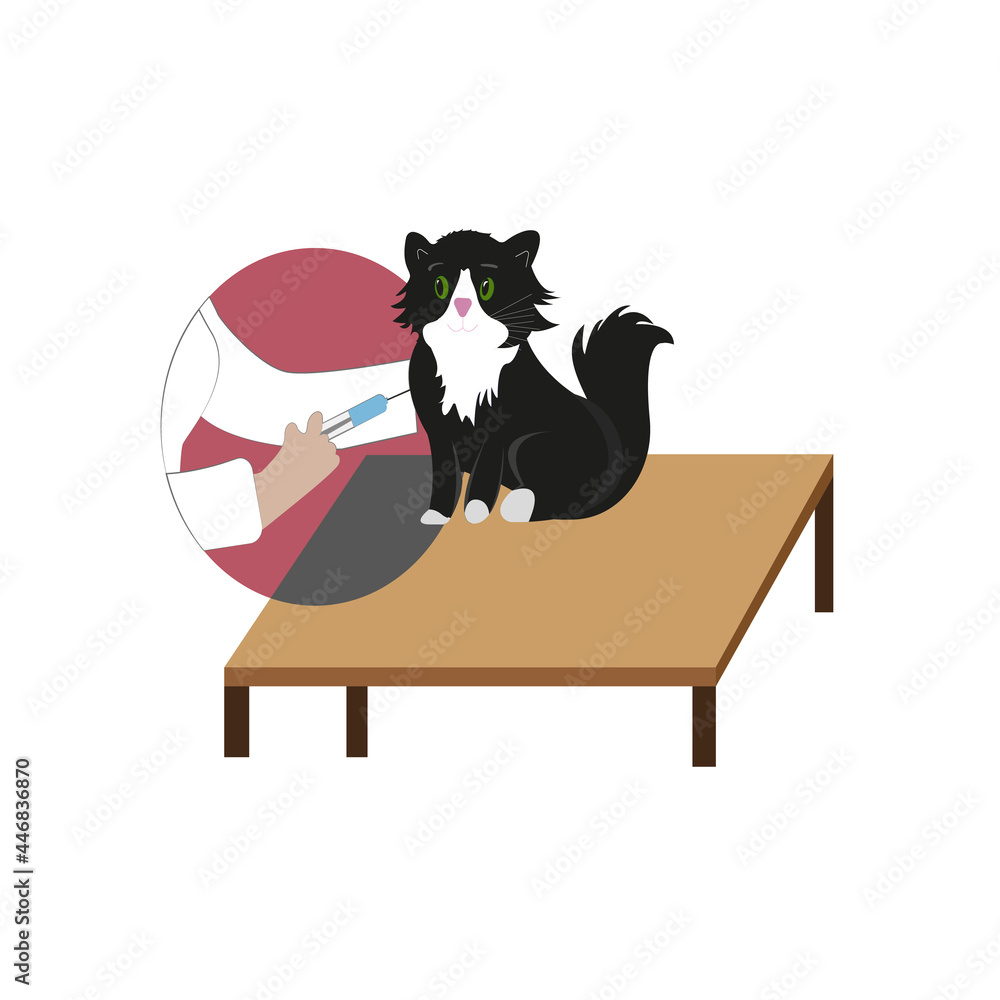 World Day Against Rabies. Rabies vaccine. Vaccination for a cat. The ...