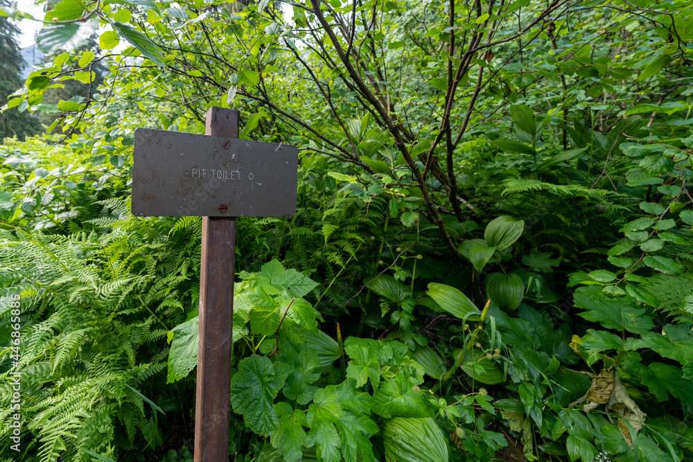 Sign for a pit toilet along the Avalanche Lake trail in Glacier ...