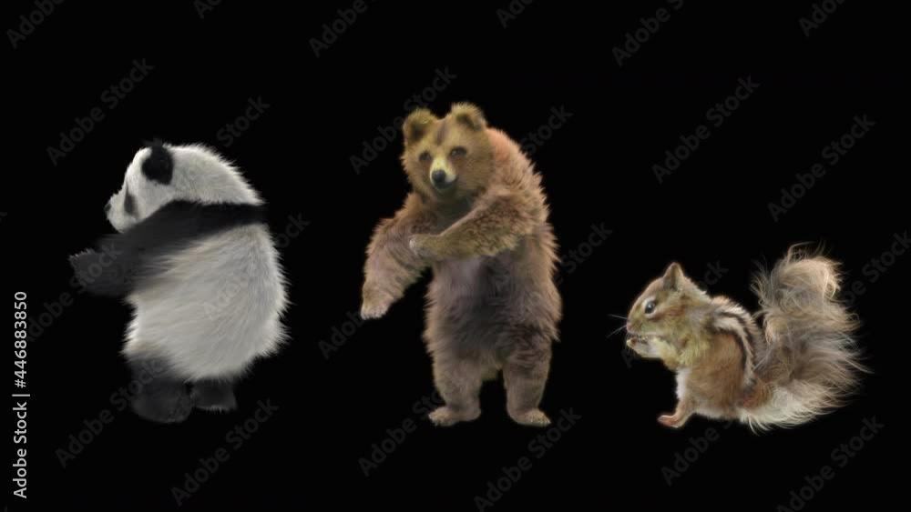 Vídeo do Stock: bear panda chipmunk Dancing CG fur. 3d rendering ...