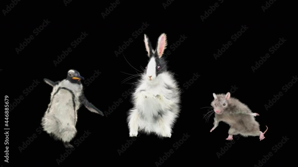 penguin rabbit rat Dancing CG fur. 3d rendering, animal realistic CGI ...