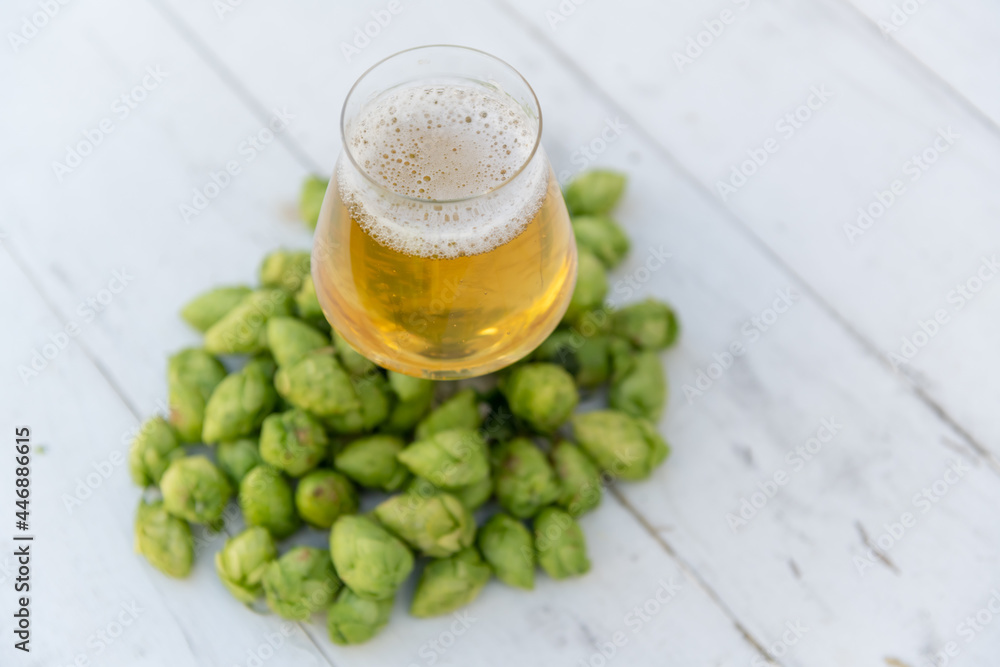 Hops & Beers, Fresh homegrown hops for brewing beer. Hops, Brews, Home ...