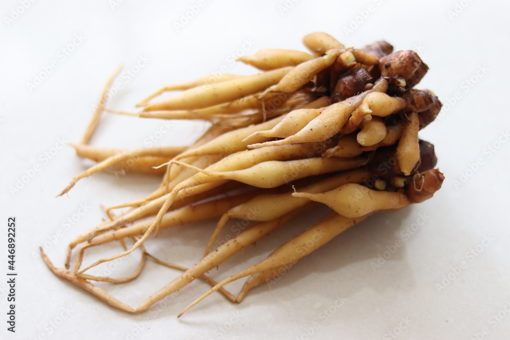Kaempferia or forefinger root is a natural herb of ancient Thai people ...