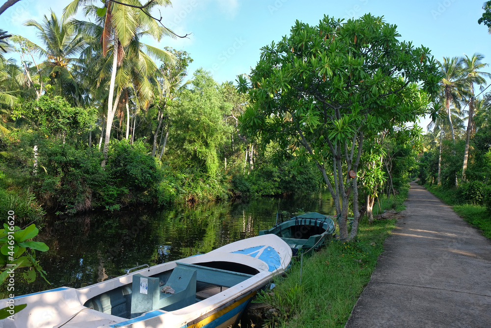 boats docked on the shore of the hamilton canal (Dutch canal) for a ...