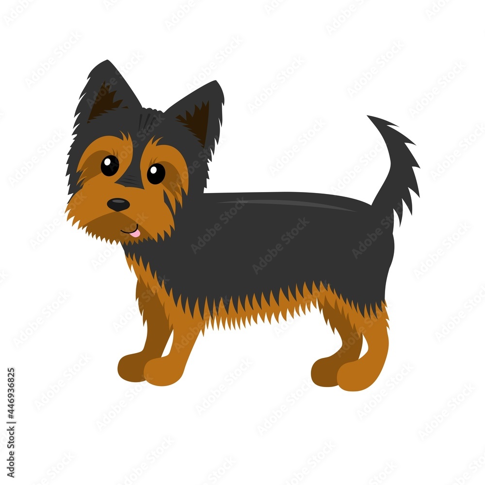 cartoon dog, yorkshire terrier, flat vector ilustration isolated on ...