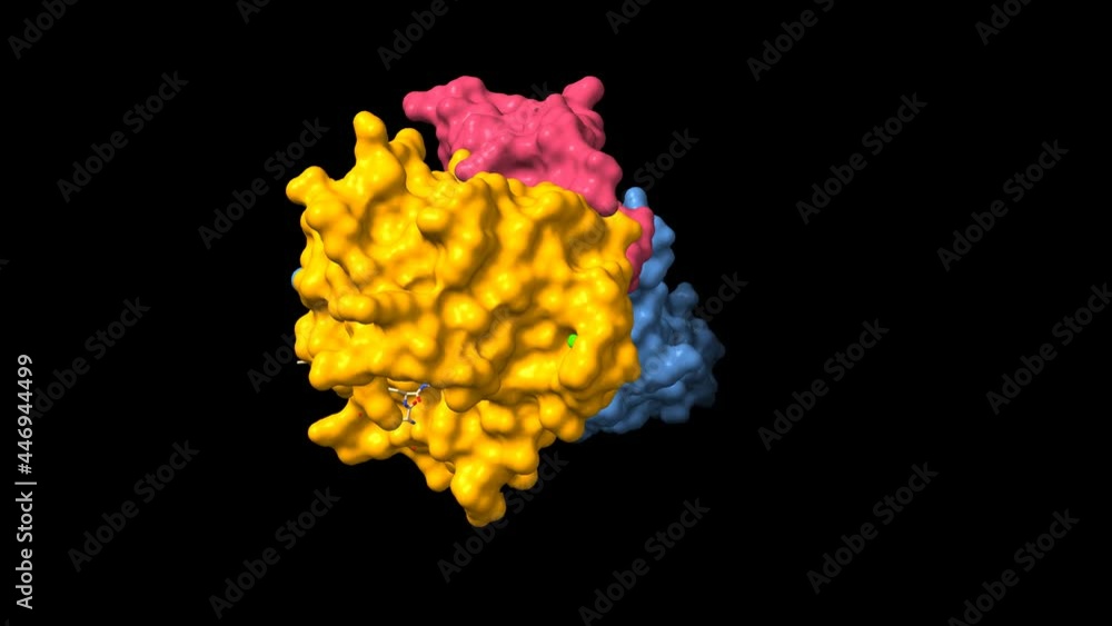 Structure of tissue factor (blue) -factor VIIa (pink and orange ...